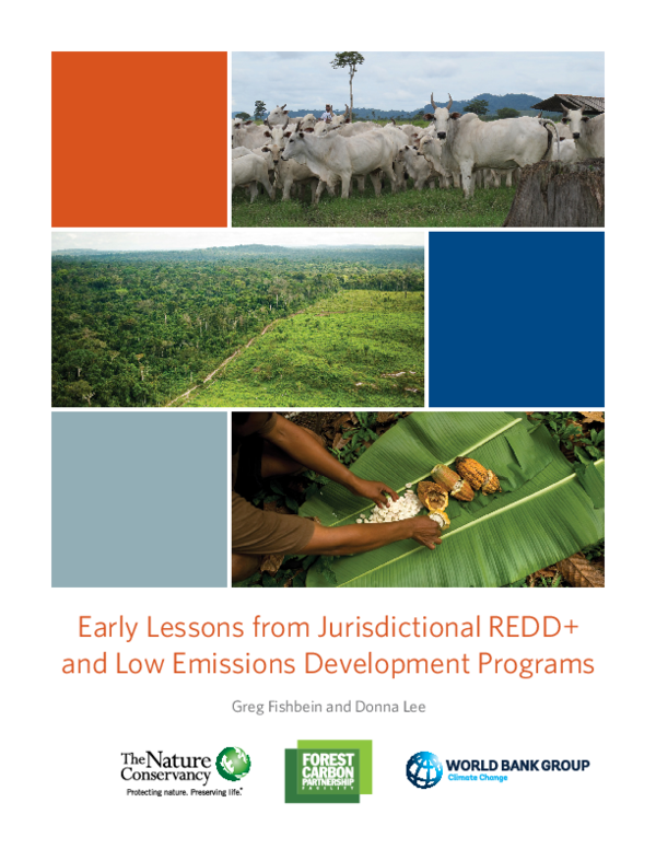 (PDF) Early Lessons from Jurisdictional REDD + and Low Emissions ...