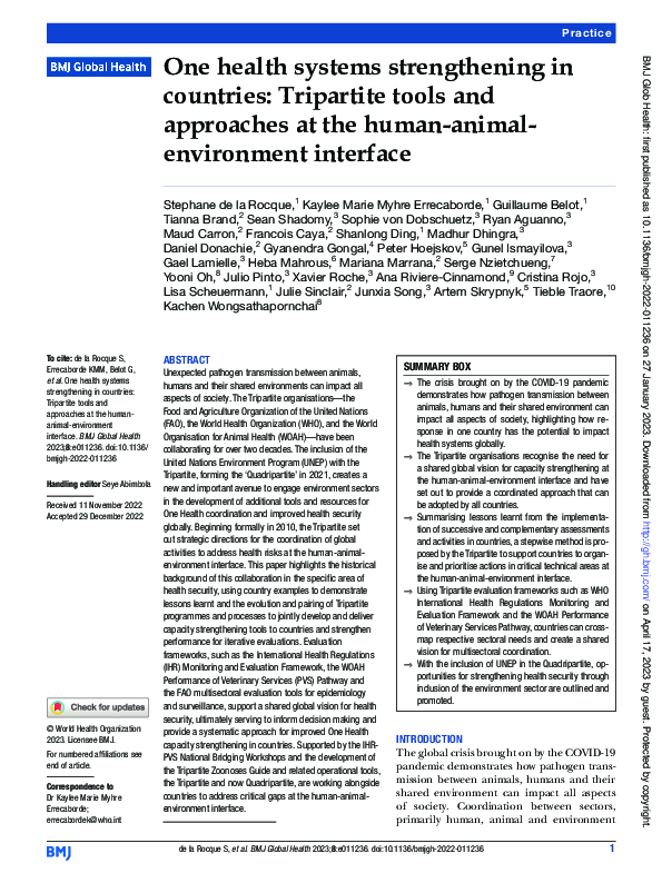 (PDF) One health systems strengthening in countries: Tripartite tools ...