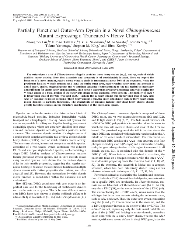 (PDF) Partially Functional Outer-Arm Dynein in a Novel Chlamydomonas ...