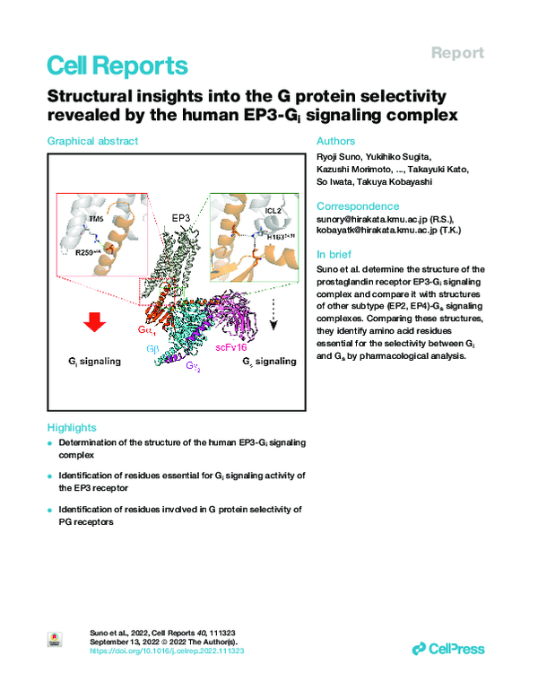 (PDF) Structural insights into the G protein selectivity revealed by ...