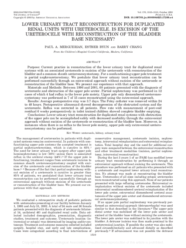 (PDF) Lower Urinary Tract Reconstruction for Duplicated Renal Units ...