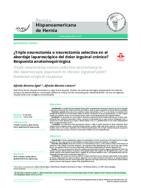 (PDF) ¿Triple neurectomía o neurectomía selectiva en el abordaje ...