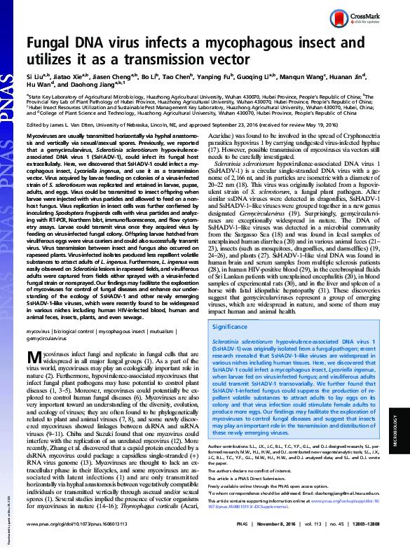 (PDF) Fungal DNA virus infects a mycophagous insect and utilizes it as ...