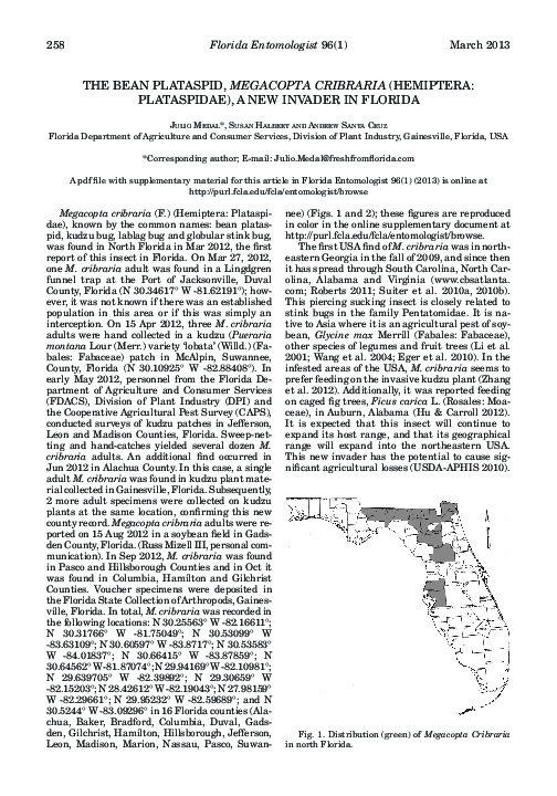 (PDF) The Bean Plataspid,Megacopta cribraria(Hemiptera: Plataspidae), a ...