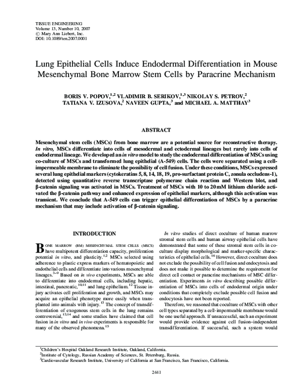 Pdf Lung Epithelial Cells Induce Endodermal Differentiation In Mouse