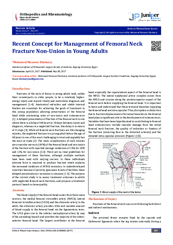 (PDF) Recent Concept for Management of Femoral Neck Fracture Non-Union ...