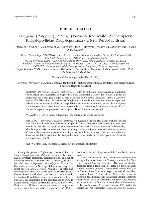 (PDF) Polygenis (Polygenys) platensis (Jordan & Rothschild ...