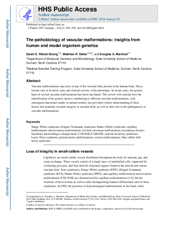 (PDF) The pathobiology of vascular malformations: insights from human ...