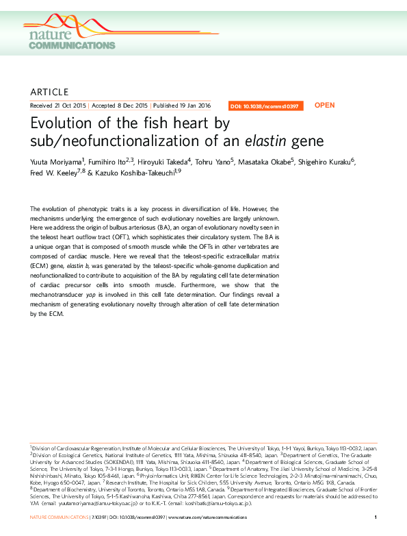 (PDF) Evolution of the fish heart by sub/neofunctionalization of an ...