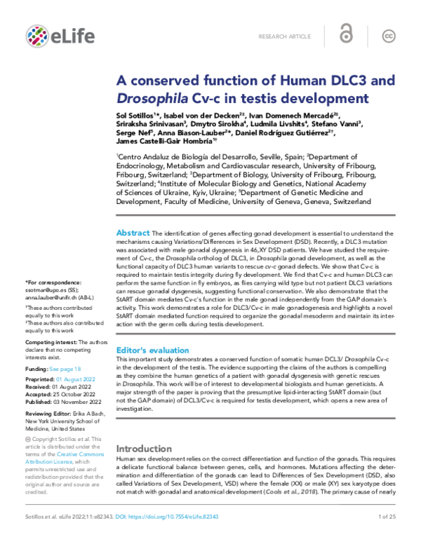 (PDF) A conserved function of Human DLC3 and Drosophila Cv-c in testis ...