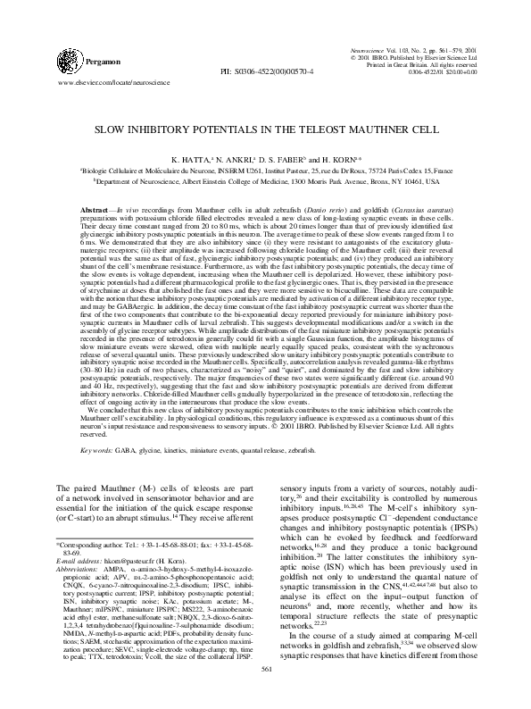 (PDF) Slow inhibitory potentials in the teleost Mauthner cell | NORBERT Ankri - Academia.edu