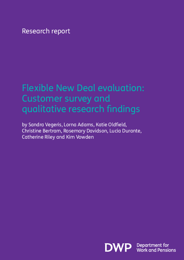 (PDF) Flexible New Deal evaluation: Customer survey and qualitative ...