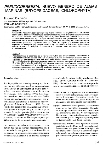 (PDF) Pseudoderbesia, nuevo género de algas marinas (Bryopsidaceae, Chlorophyta)