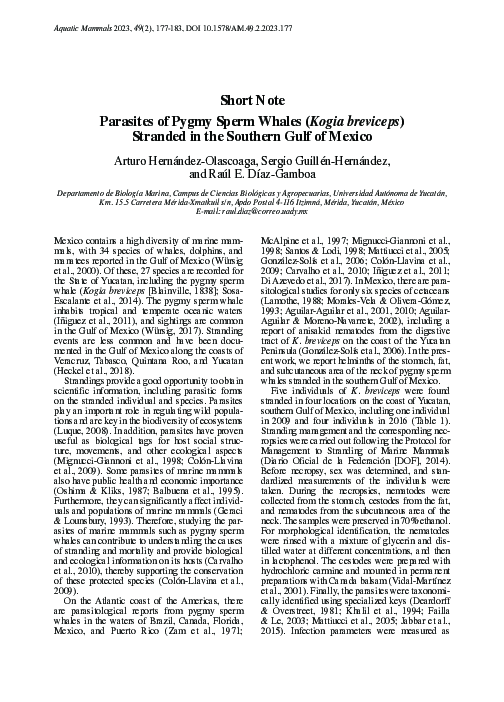 (PDF) Parasites of Pygmy Sperm Whales (Kogia breviceps) Stranded in the ...