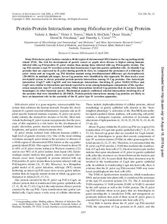 (PDF) Protein-Protein Interactions among Helicobacter pylori Cag Proteins