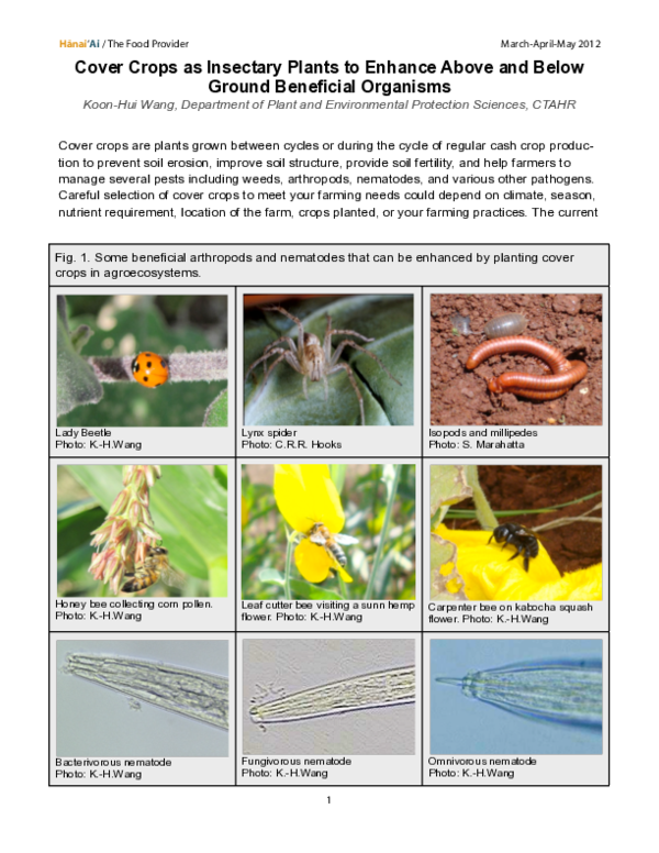 (PDF) Cover Crops as Insectary Plants to Enhance Above and Below Ground ...