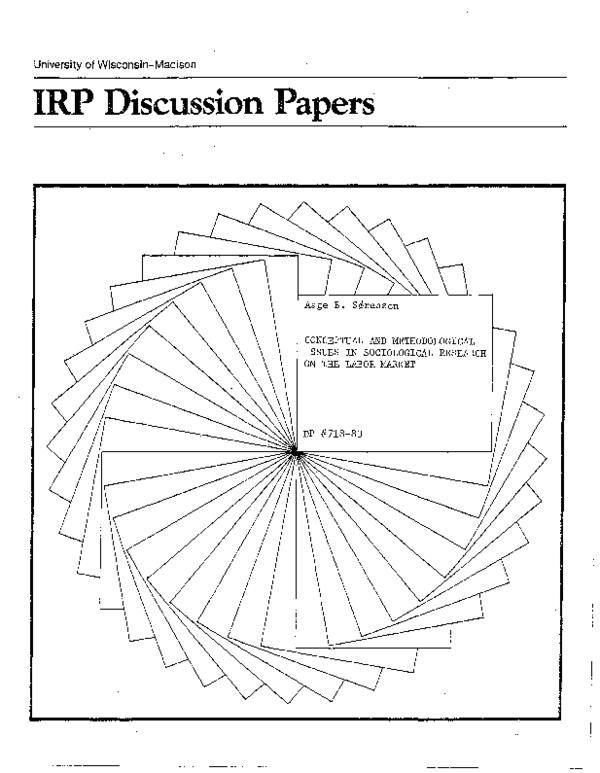 (PDF) Conceptual and Methodological Issues in Sociological Research on ...