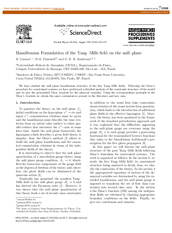 (PDF) Hamiltonian Formulation of the Yang–Mills field on the null–plane