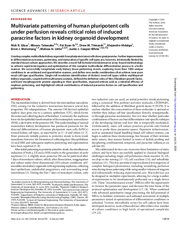 (PDF) Multivariate patterning of human pluripotent cells under ...