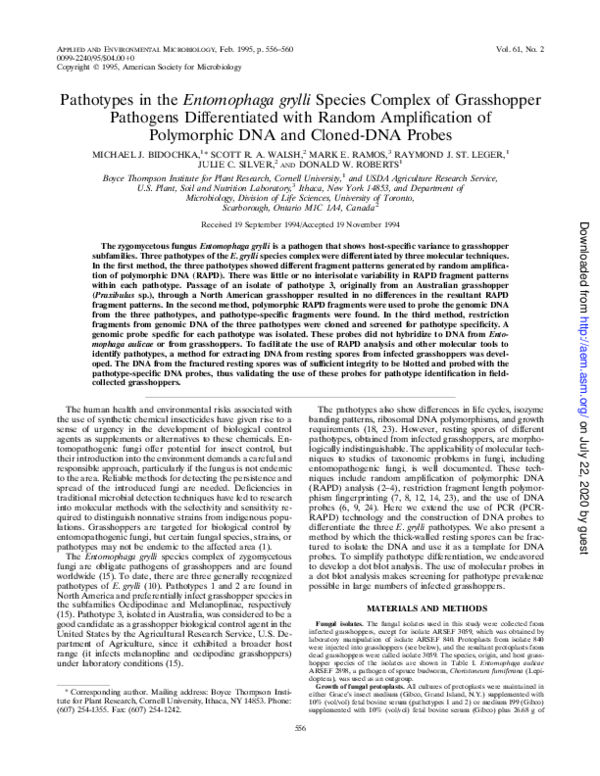 (PDF) Pathotypes in the Entomophaga grylli species complex of ...