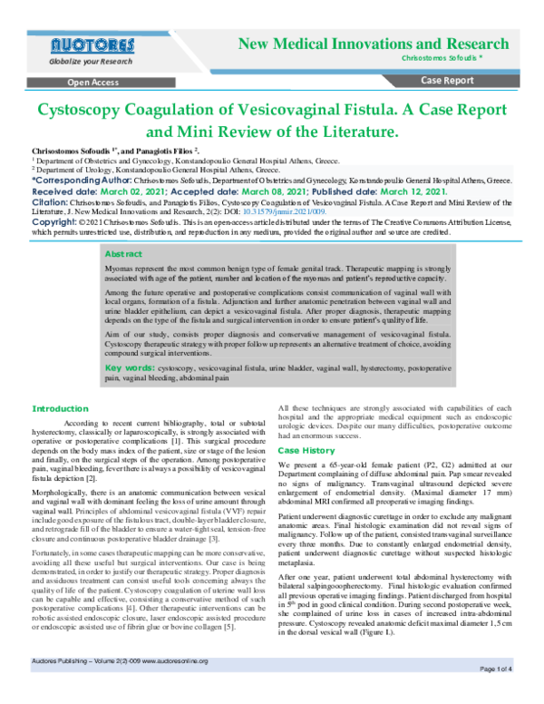 (PDF) Cystoscopy Coagulation of Vesicovaginal Fistula. A Case Report ...