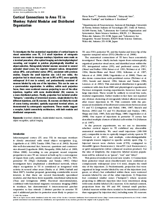 (PDF) Cerebral Cortex doi:10.1093/cercor/bhp096 Cortical Connections to Area TE in Monkey ...