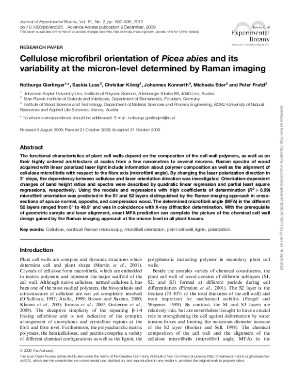 (PDF) Cellulose microfibril orientation of Picea abies and its ...