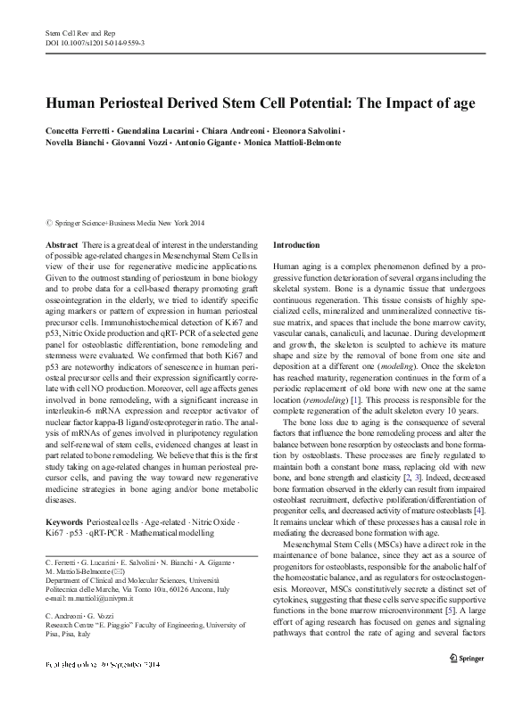 (PDF) Human Periosteal Derived Stem Cell Potential: The Impact of age