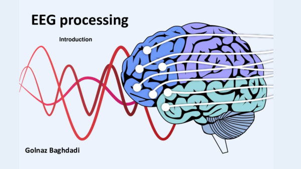 (PDF) EEGLAB Workshop