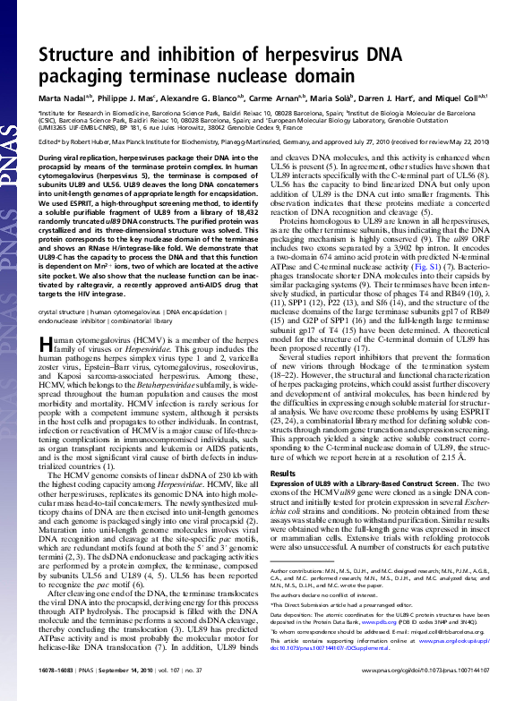 (PDF) Structure and inhibition of herpesvirus DNA packaging terminase ...