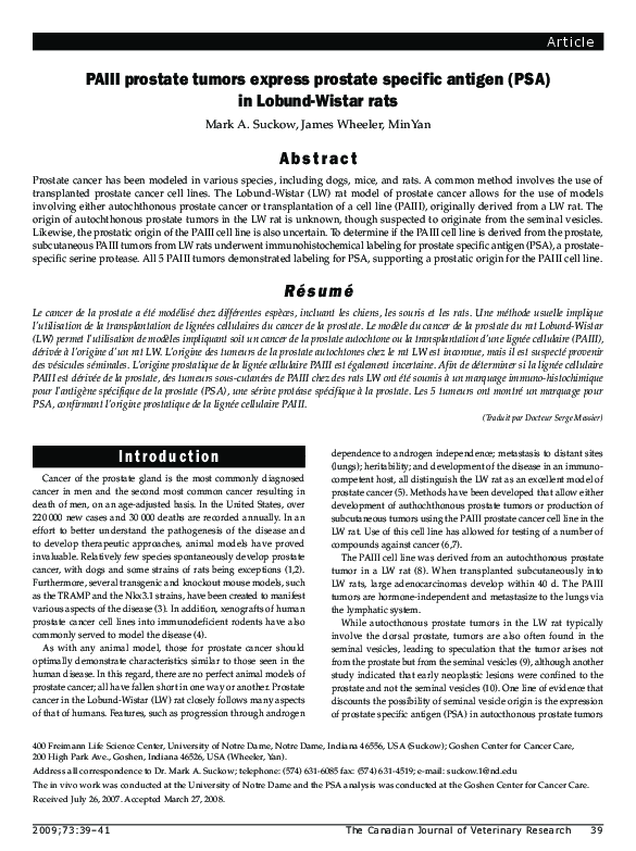 (PDF) PAIII prostate tumors express prostate specific antigen (PSA) in ...