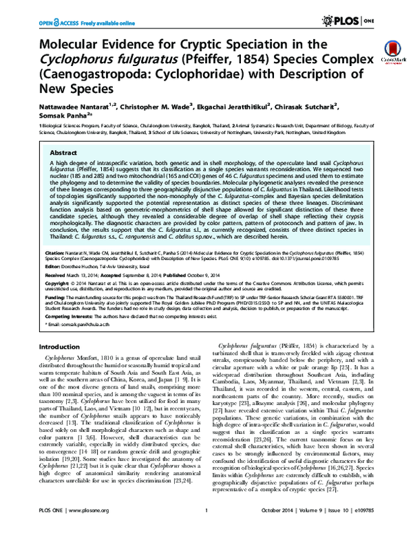 (PDF) Molecular Evidence for Cryptic Speciation in the Cyclophorus ...