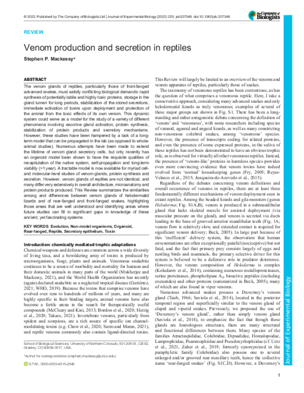 (PDF) Venom production and secretion in reptiles