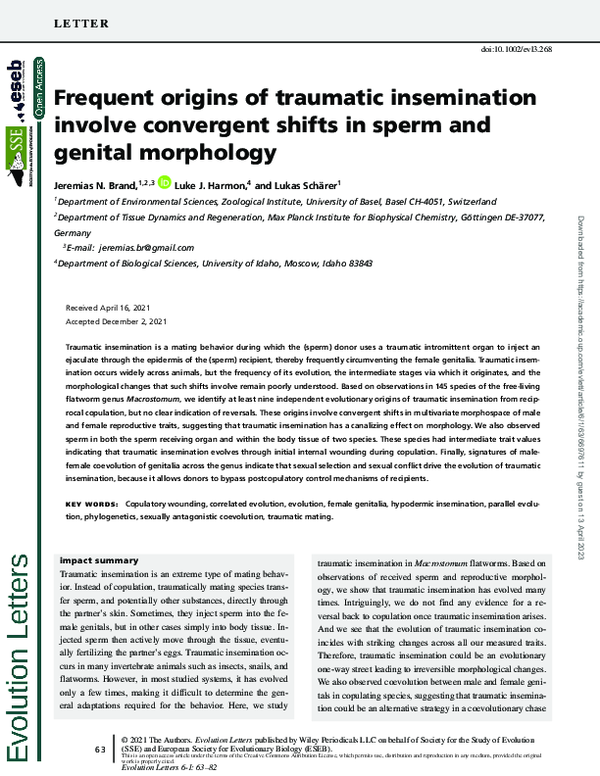 (PDF) Frequent origins of traumatic insemination involve convergent ...