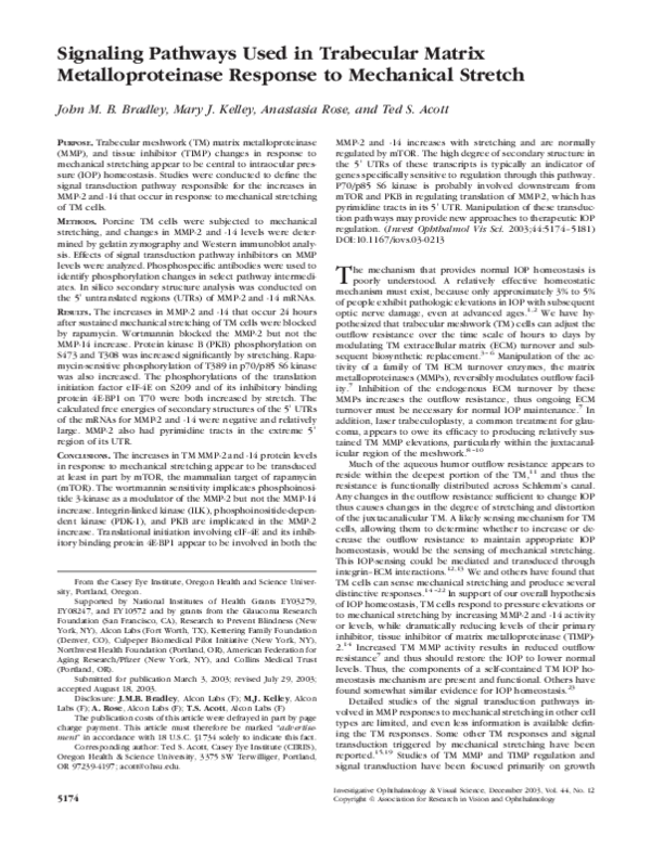 (PDF) Signaling Pathways Used in Trabecular Matrix Metalloproteinase Response to Mechanical Stretch