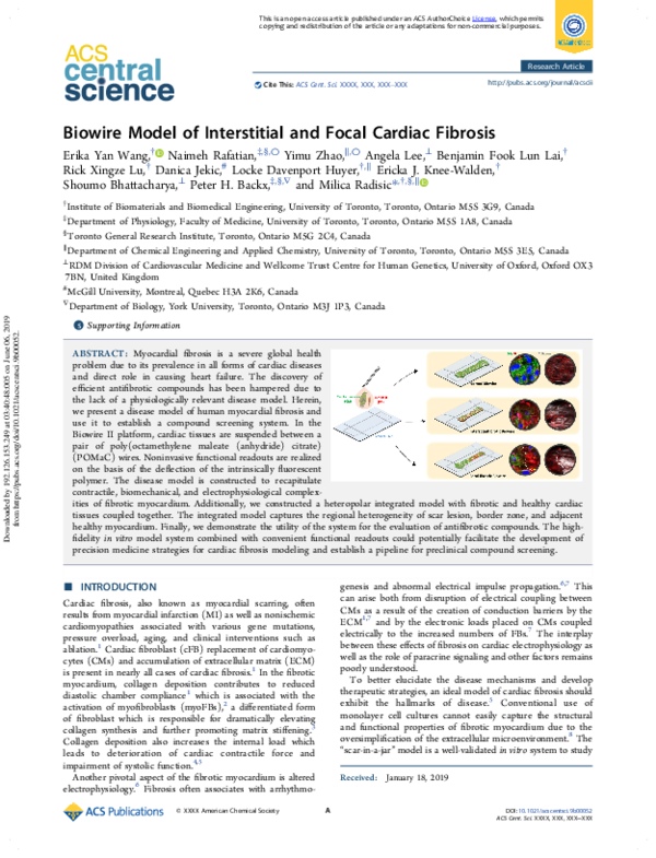 (PDF) Biowire Model of Interstitial and Focal Cardiac Fibrosis