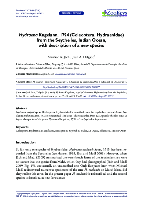 (PDF) Hydraena Kugelann, 1794 (Coleoptera, Hydraenidae) from the ...
