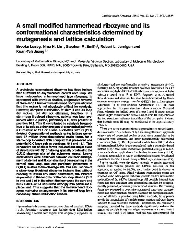 (PDF) A small modified hammerhead ribozyme and its conformational ...