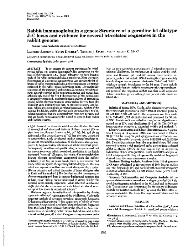 (PDF) Rabbit immunoglobulin kappa genes: structure of a germline b4 ...