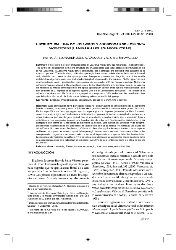 (PDF) Fine structure of sori and zoospores of Lessonia nigrescens ...