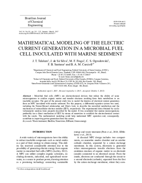 (PDF) Mathematical Modeling of the Electric Current Generation in a ...