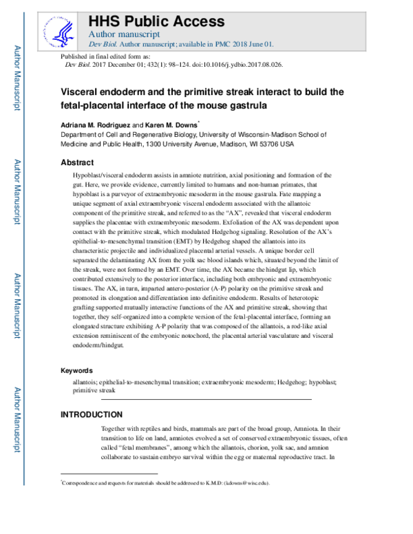 (PDF) Visceral endoderm and the primitive streak interact to build the ...