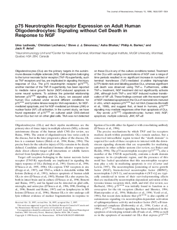 (PDF) p75 Neurotrophin Receptor Expression on Adult Human ...