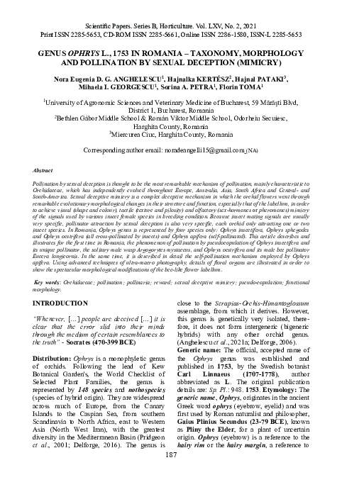 (PDF) Genus Ophrys L., 1753 in Romania – Taxonomy, Morphology and Pollination by Sexual ...