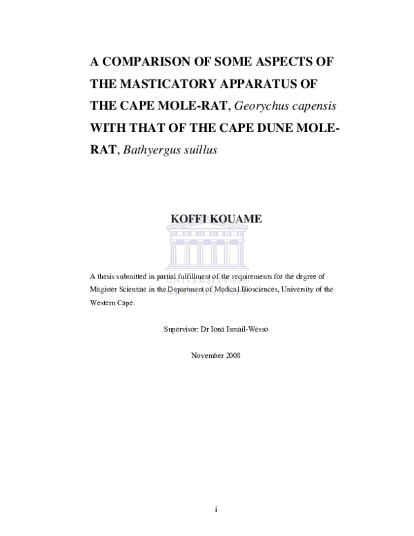 (PDF) A comparison of some aspects of the masticatory apparatus of the ...