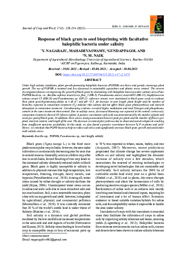 (PDF) Response of black gram to seed biopriming with facultative halophilic bacteria under salinity