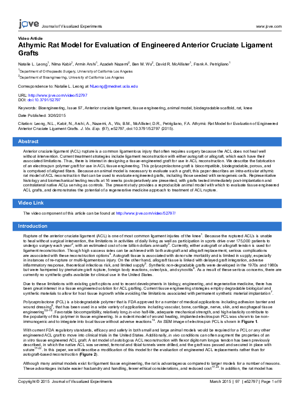 (PDF) Athymic Rat Model for Evaluation of Engineered Anterior Cruciate Ligament Grafts | Nima ...