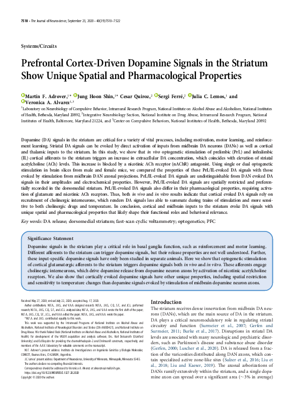 (PDF) Prefrontal Cortex-Driven Dopamine Signals in the Striatum Show ...