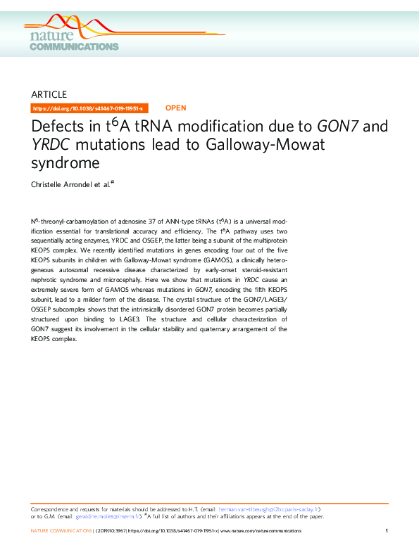 (PDF) Defects in t6A tRNA modification due to GON7 and YRDC mutations ...