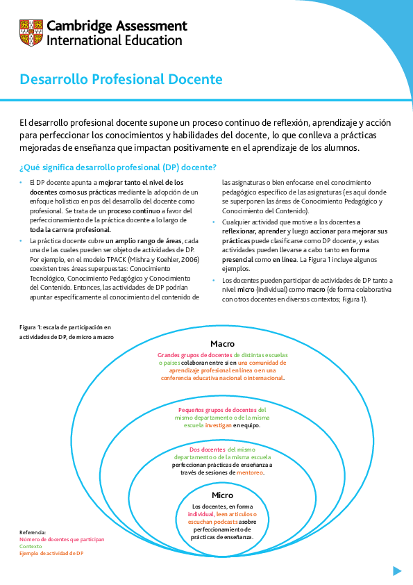 (PDF) Desarrollo profesional docente